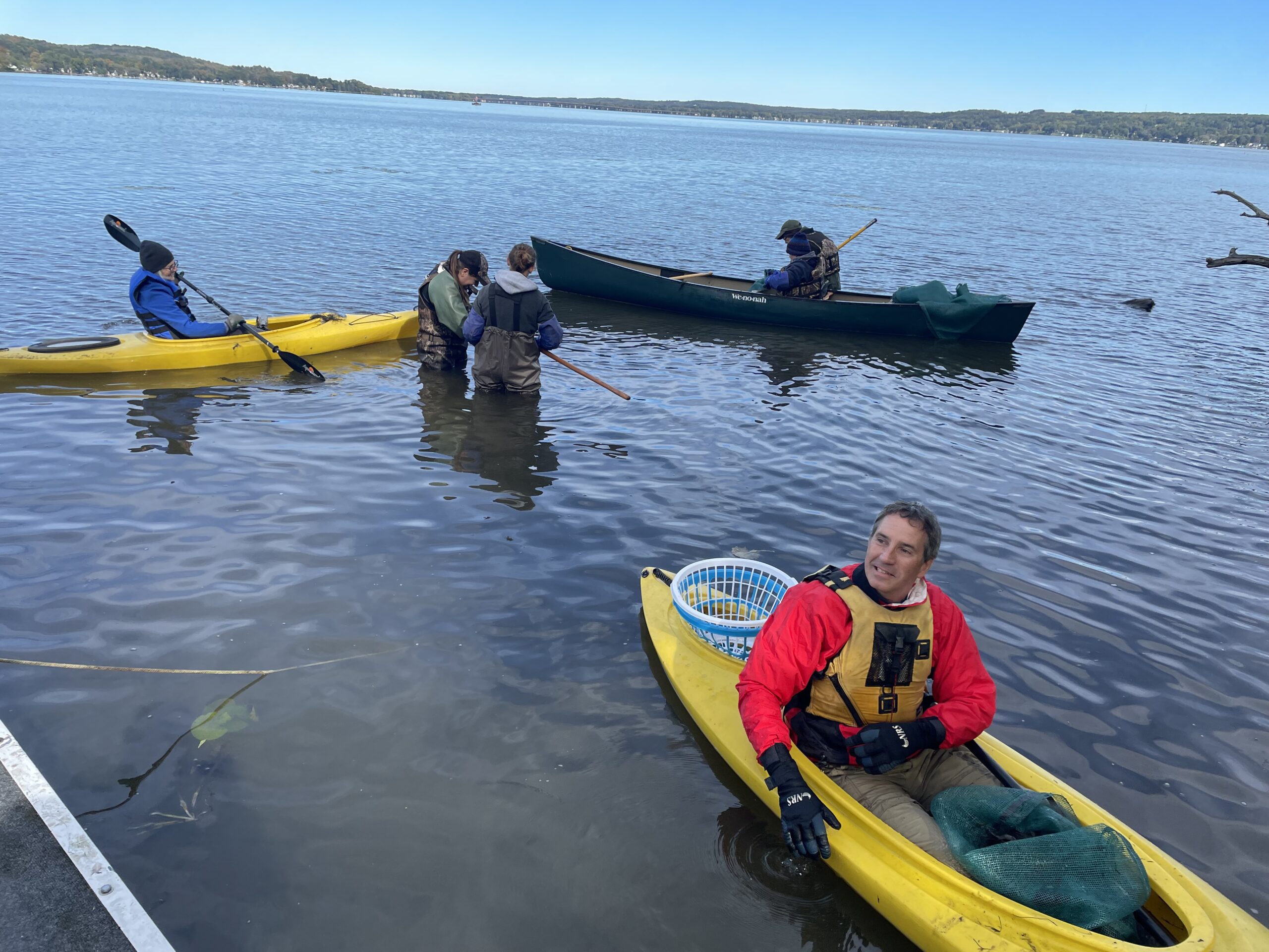 New invasive species found in Chautauqua Lake | News, Sports, Jobs ...